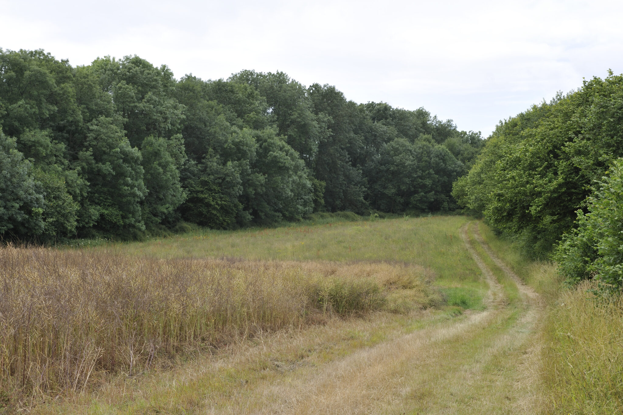 Natural England – Rural payments