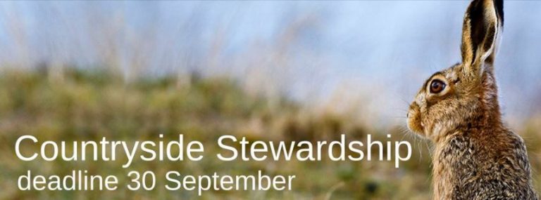 ‘Top Tips’ for completing a Countryside Stewardship application form ...