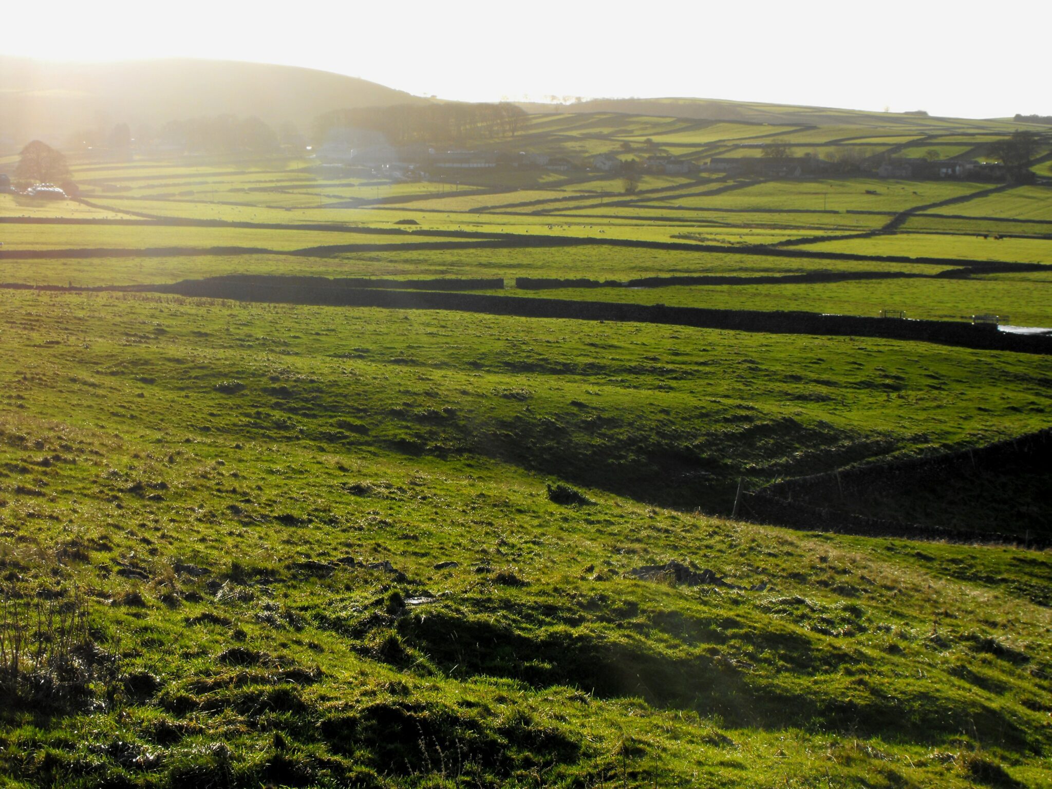 Basic Payment Scheme - Rural payments