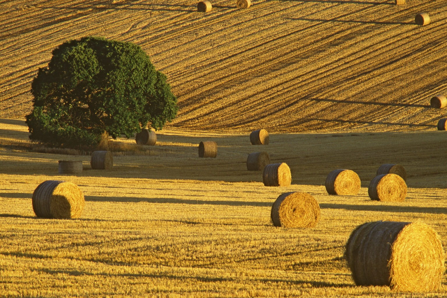 Updating your details and permissions in the Rural Payments service ...