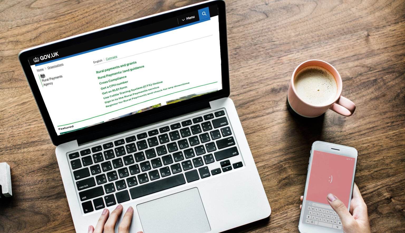 Basic Payment Scheme – Rural payments