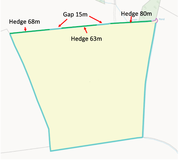 How to amend a hedge linear feature and make a land cover change ...