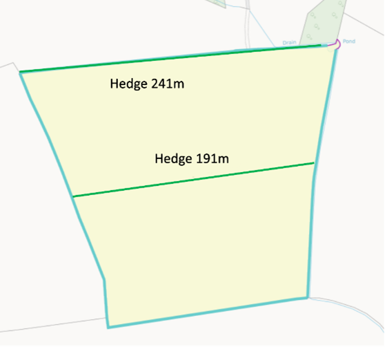 How to amend a hedge linear feature and make a land cover change ...