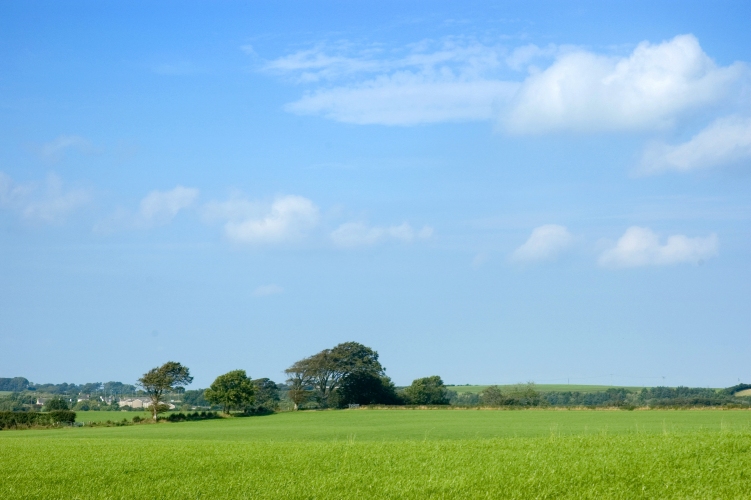 How to amend a hedge linear feature and make a land cover change ...