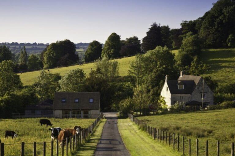 Countryside Stewardship – Rural payments