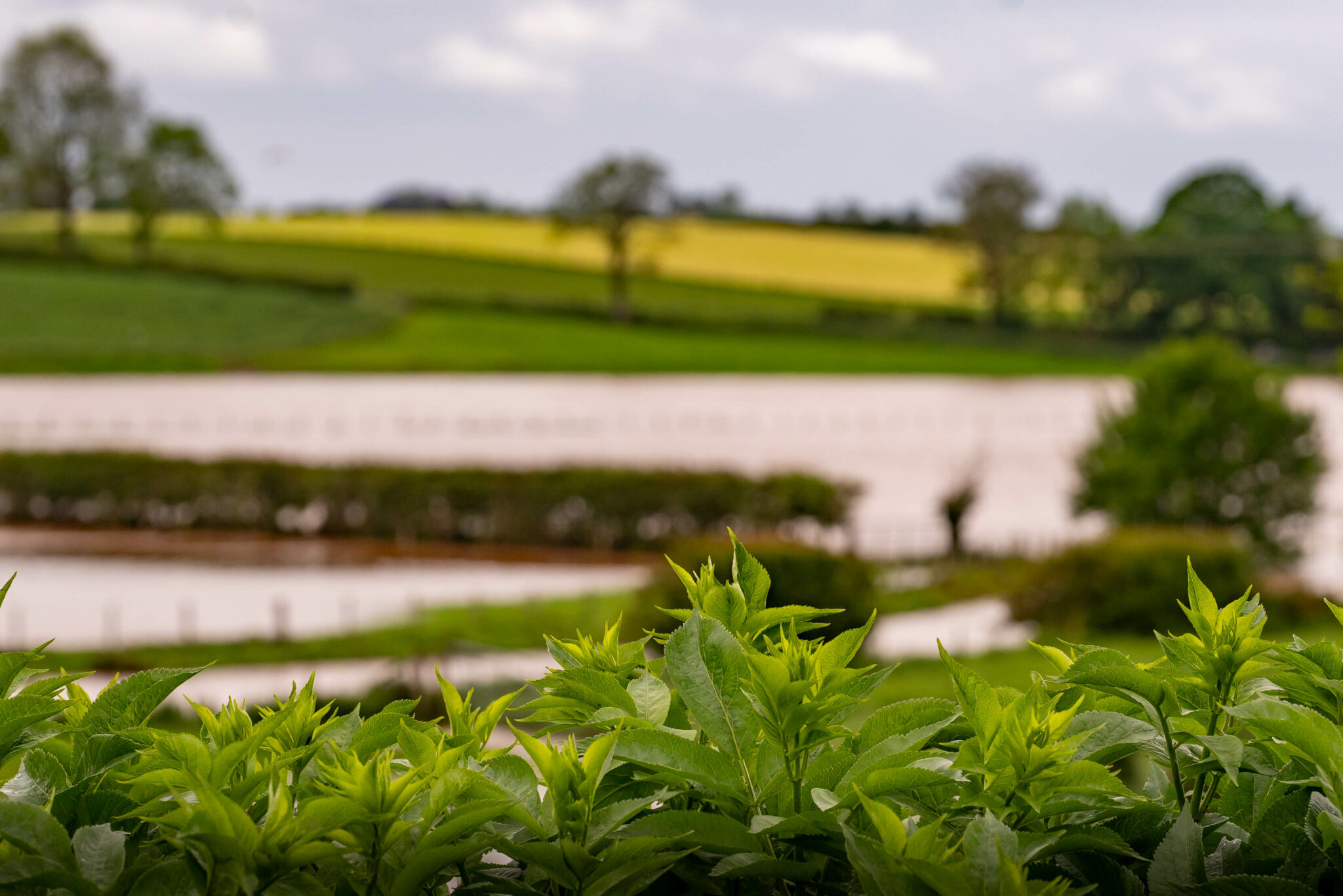 Rural payments – News and updates from the team.