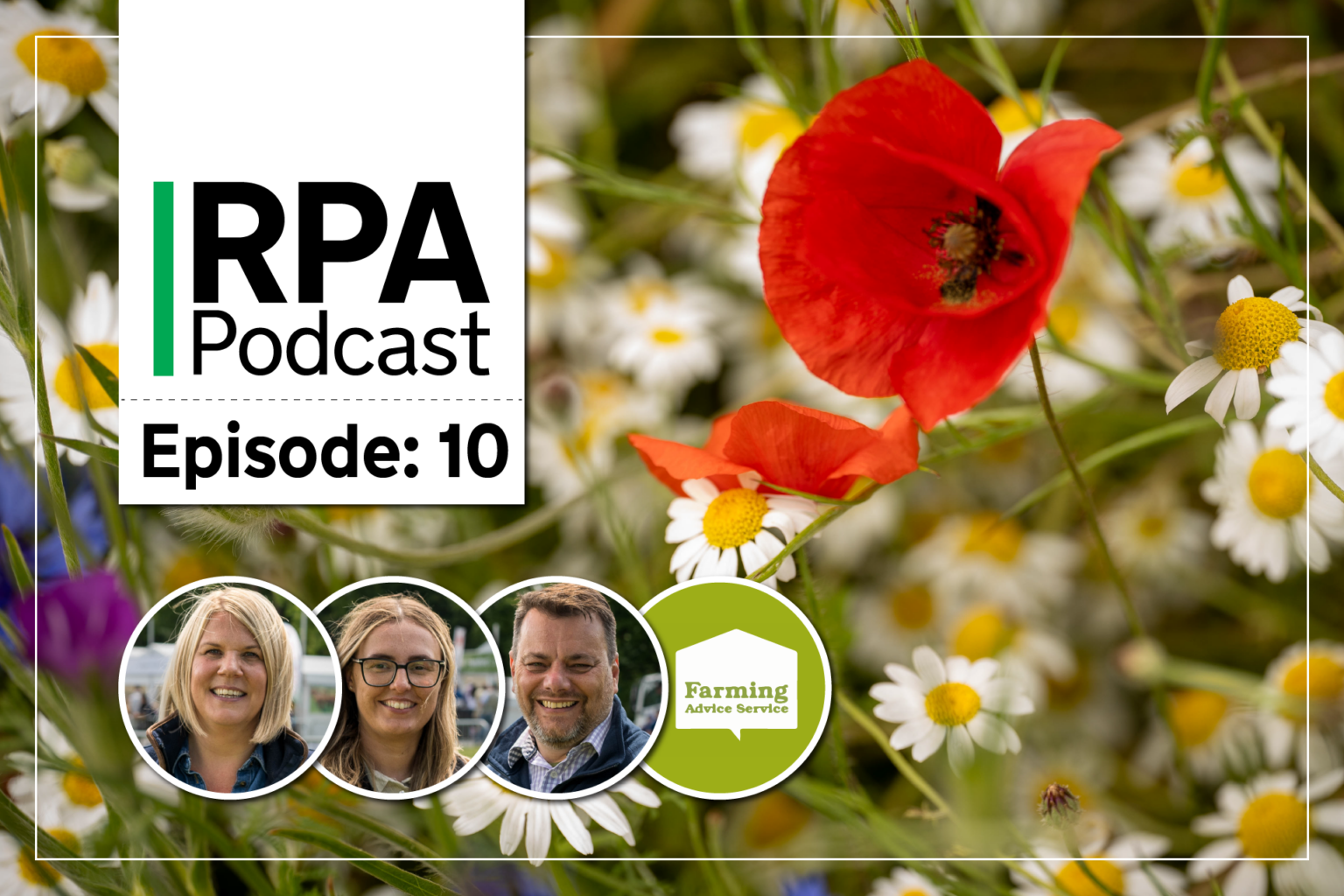 Rural payments – News and updates from the team.