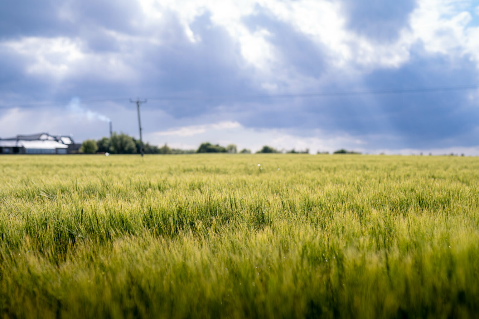 Understanding the Sustainable Farming Incentive (SFI) rotational ...