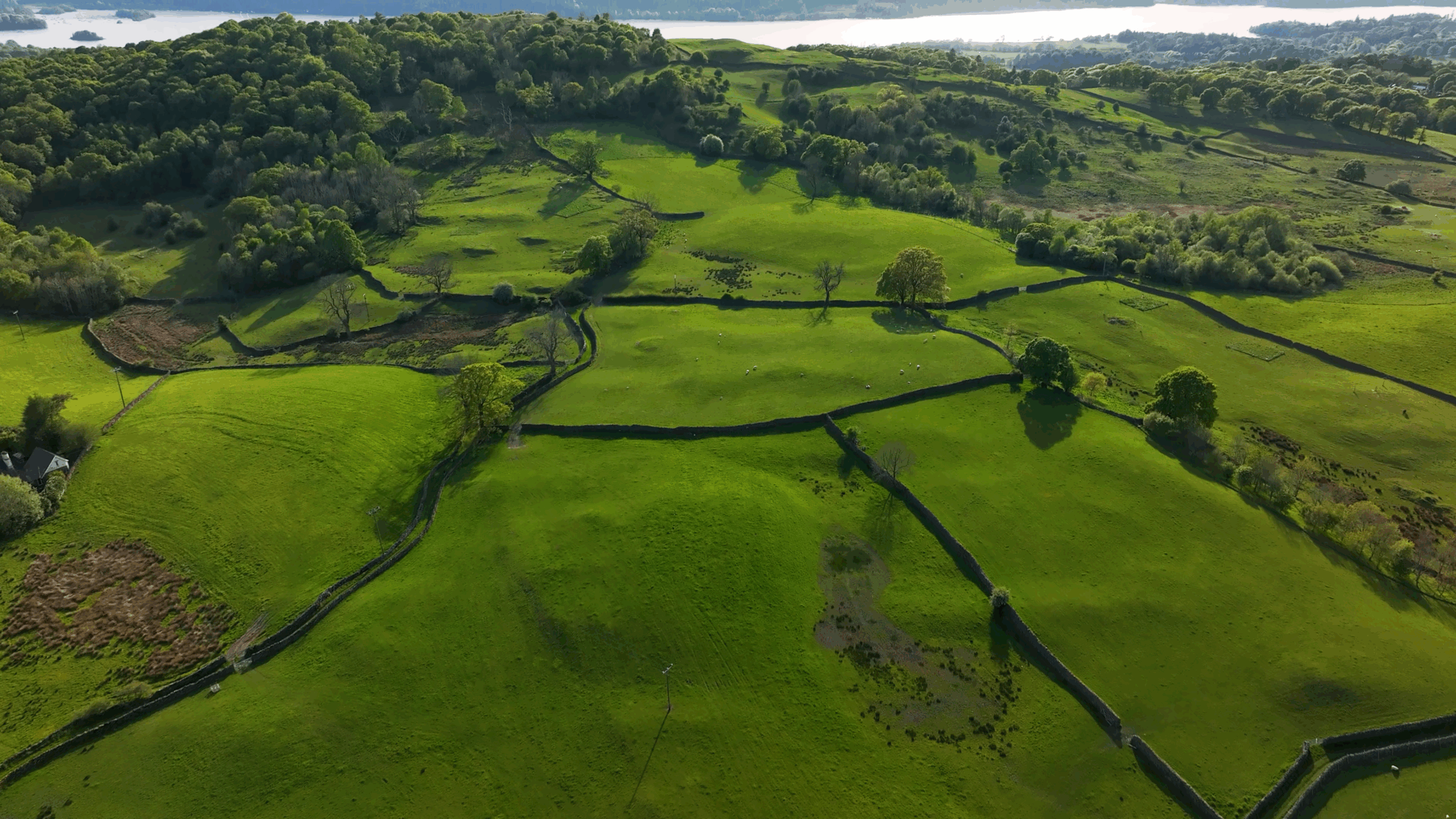 Sustainable Farming Incentive – Rural payments